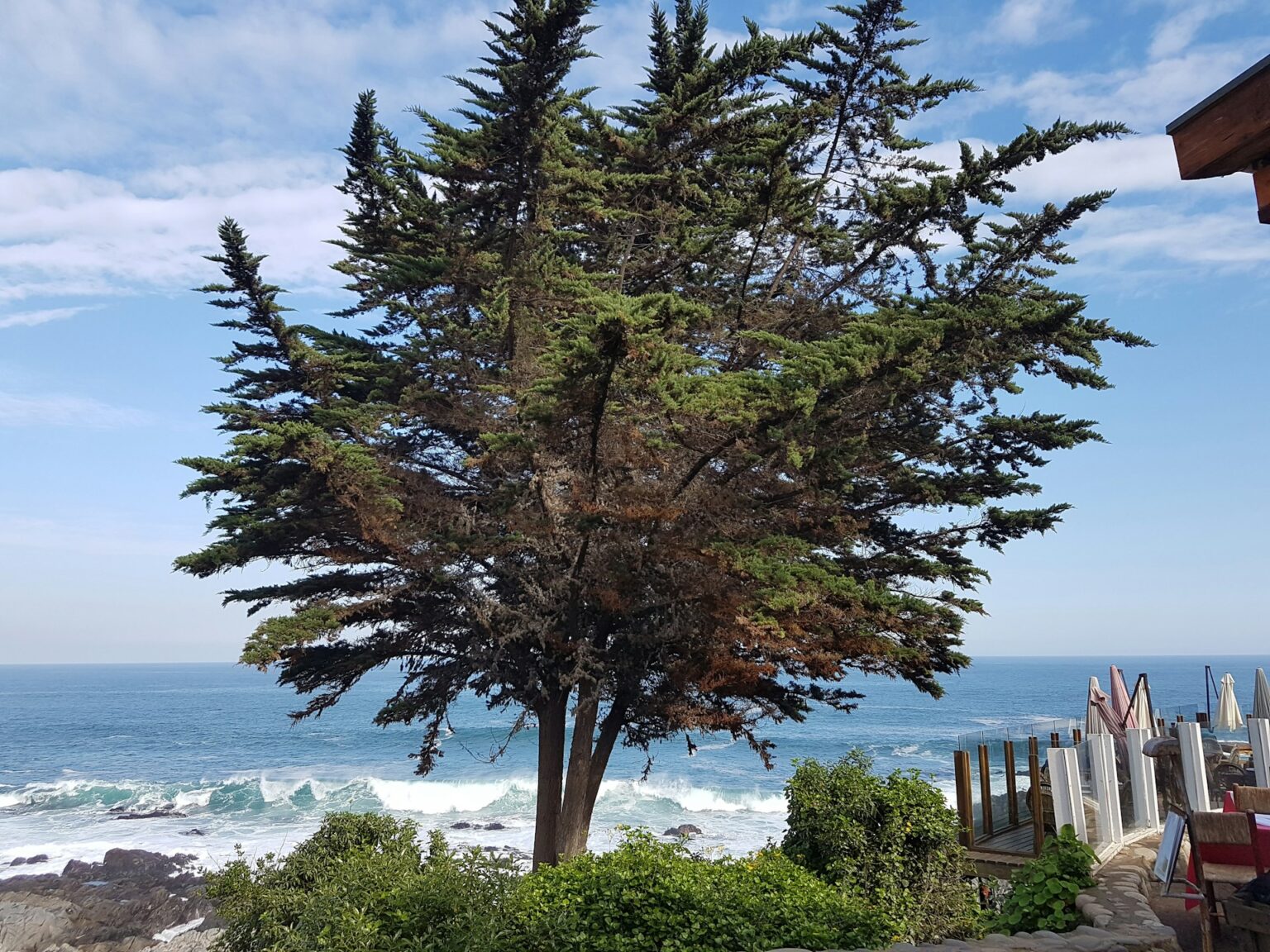Isla Negra e casa de Pablo Neruda: saiba tudo sobre o passeio